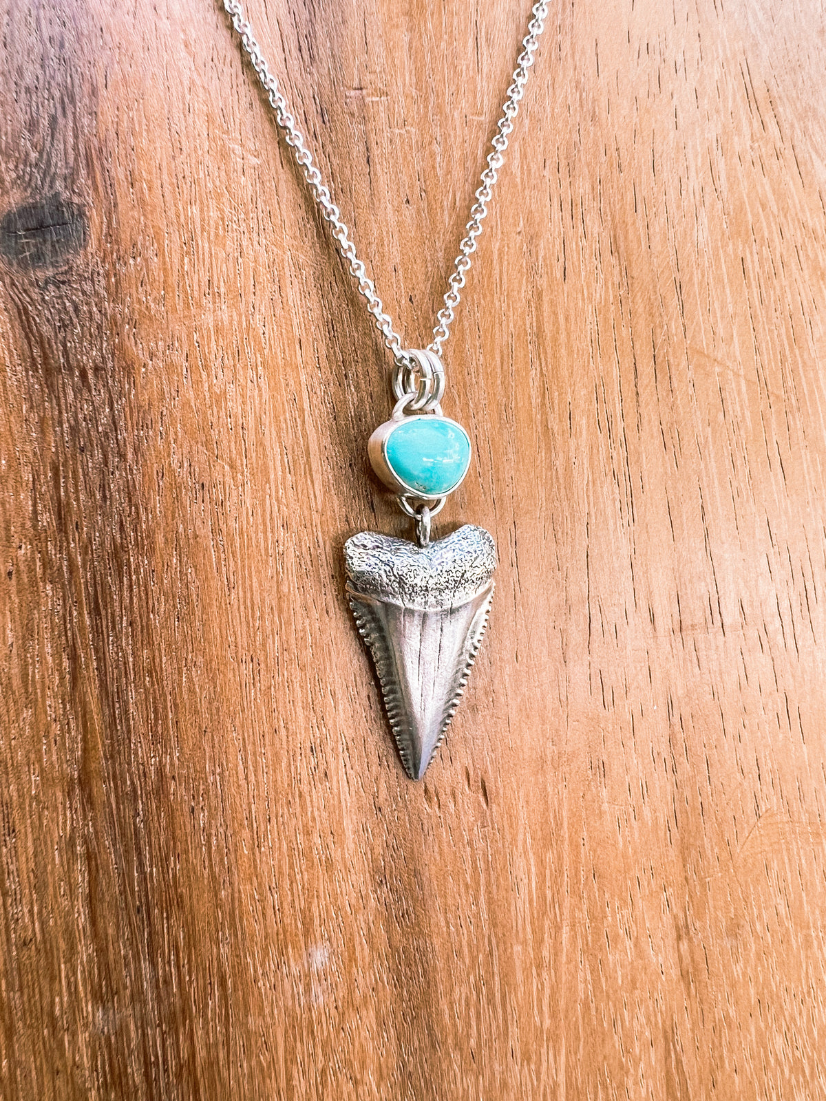 Real Great White Shark Tooth Necklace